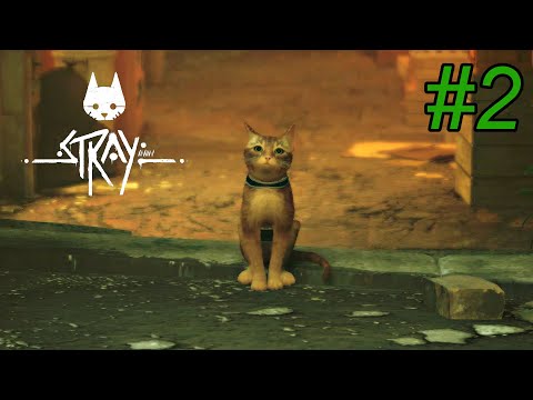 Steam Community :: Stray