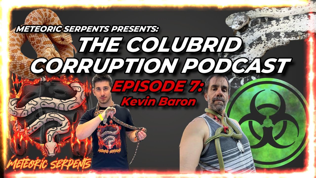 Episode 7: Kevin Baron/Mutant Reptiles - The Colubrid Corruption Podcast