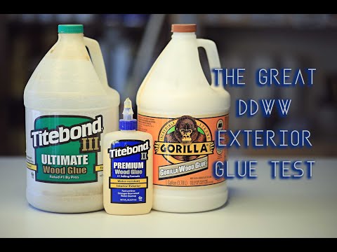 Glue Test - Which is BEST for EXTERIOR Use? // Woodworking // DIY