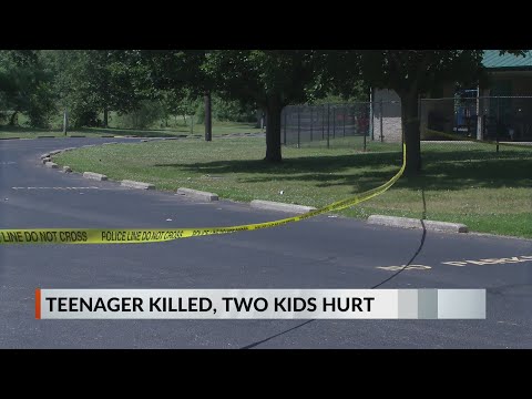 19-year-old dead, two juveniles injured after shooting in Danville
