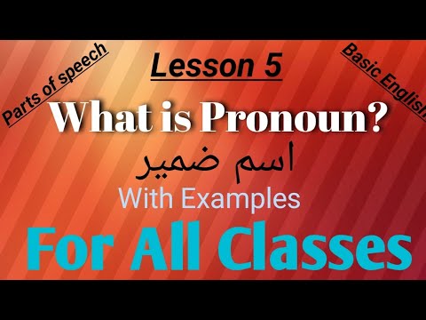 What is a Pronoun? / Simple definition, examples and Exercise