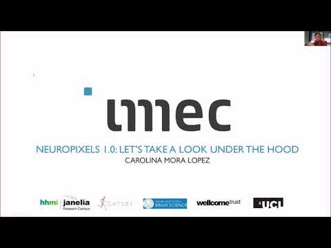 2020 Lecture 1.03 - The technology in Neuropixels - Carolina Mora Lopez (imec)