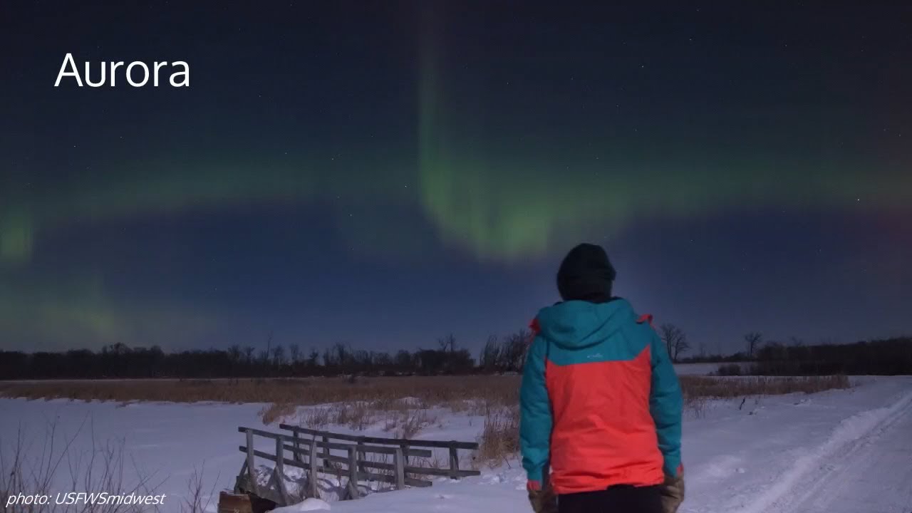 Introduction to Apache Aurora