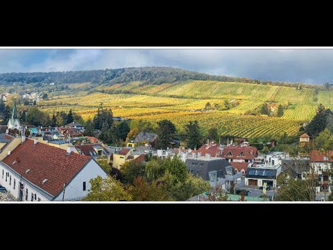 neustift am walde