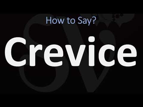 How to Pronounce Crevice? (CORRECTLY)