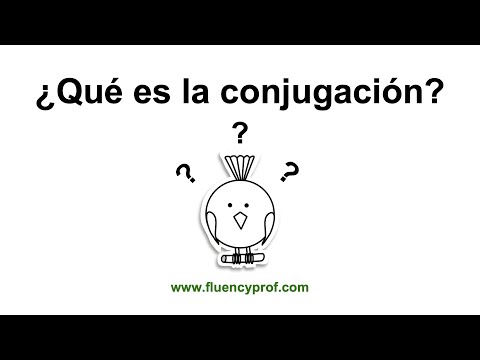 What does verb conjugation mean?