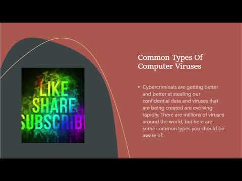 What Are The Different Types Of Computer Viruses?