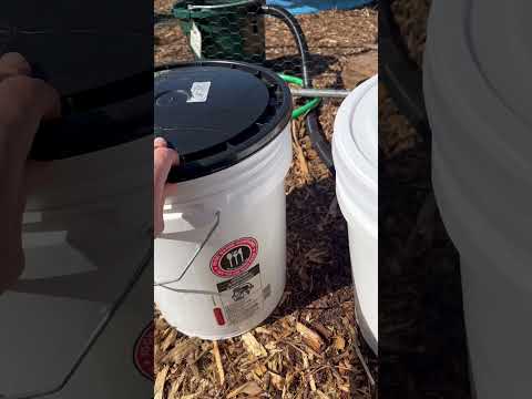 5 gallon bucket lid: standard versus Gamma Seal #foodpreservation