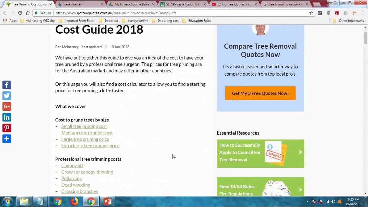 What Does Tree Pruning Cost? - A Quick Guide