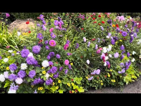 The Bibler Garden. #Kalispell #Montana🇺🇸