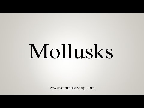 How To Say Mollusks