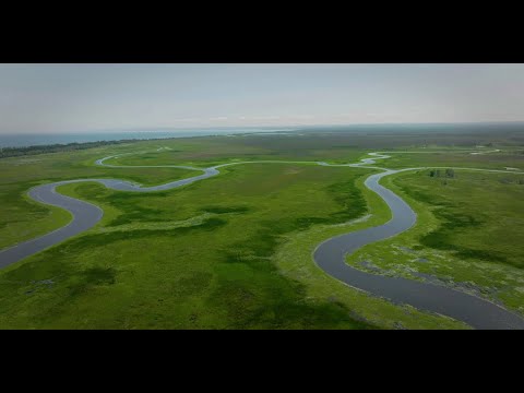 Water is life: Wetland conservation and the Bad River Band of Lake Superior Chippewa
