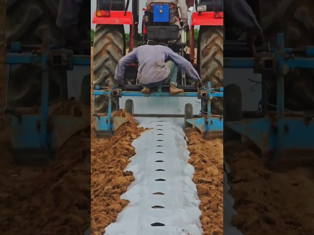 Mulching Paper - White Mulching Paper Trader - Retailer from Pune