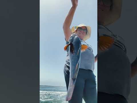 North Jetty Humboldt Bay Eureka Ca !Rockfish !