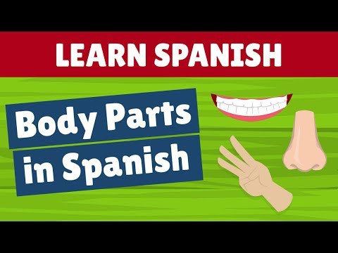 Body Parts in Spanish - Illustrated vocabulary