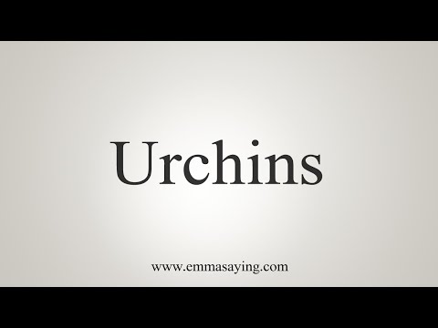 How To Say Urchins
