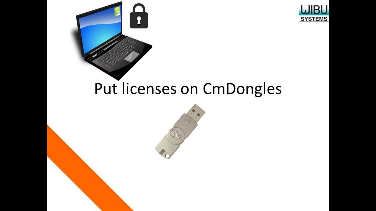 Software Protection and Licensing