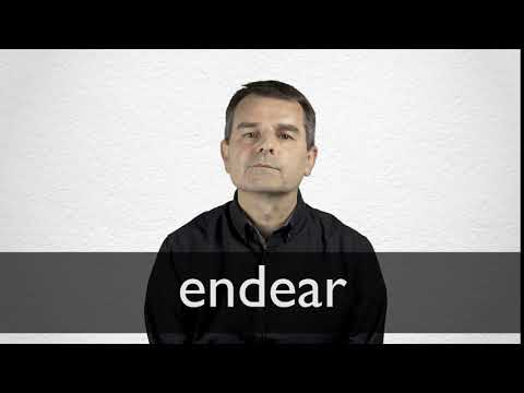 ENDEAR 释义 | 柯林斯英语词典