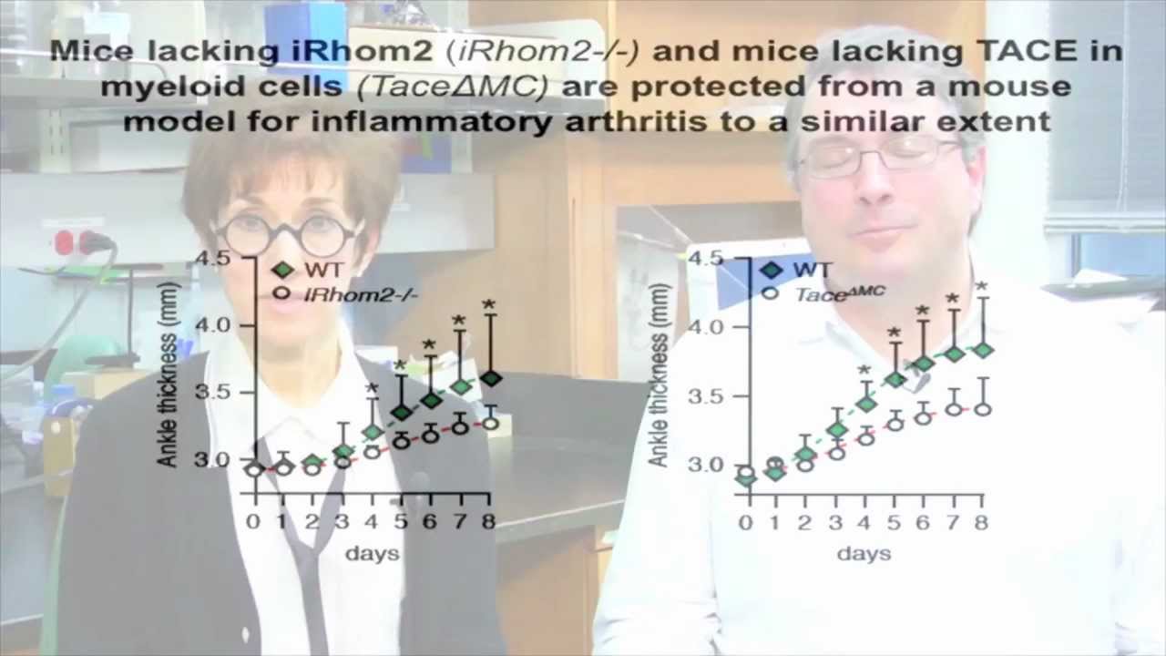 iRHOM2 is a critical pathogenic mediator of inflammatory arthritis