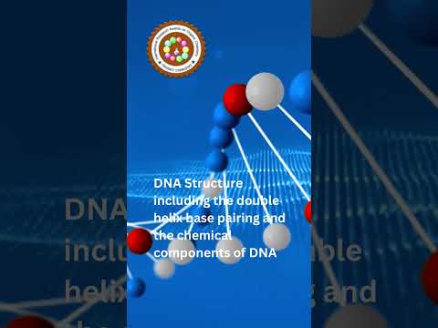 Nucleic Acid