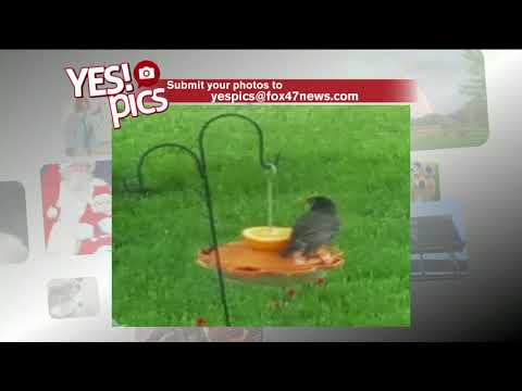 Yes! Pics: 7/31/18