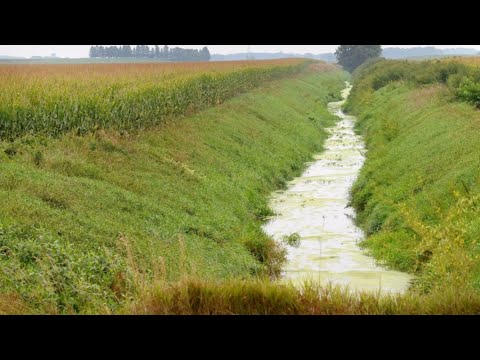 Other meaning of ditch in English with picture