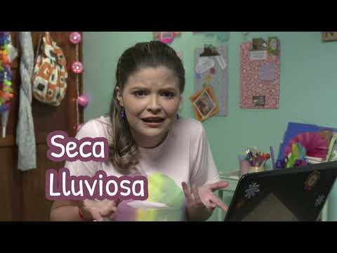 Estaciones seca y lluviosa - Primer año