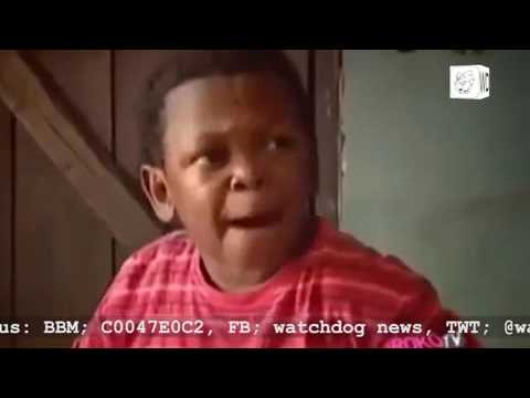 Meaning of PDP