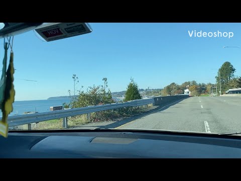 Crossing Vancouver Border from Seattle| Surrey|Green Lettuce Indian Style Chinese Cuisine| Vancouver