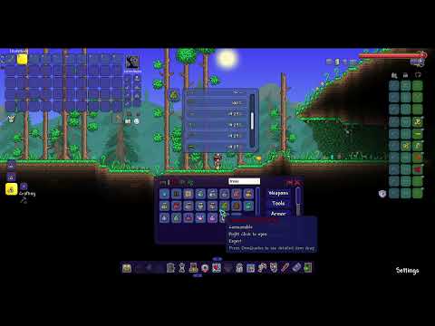 Steam Community :: Video :: Better Treasure Bag Loot Mod Showcase