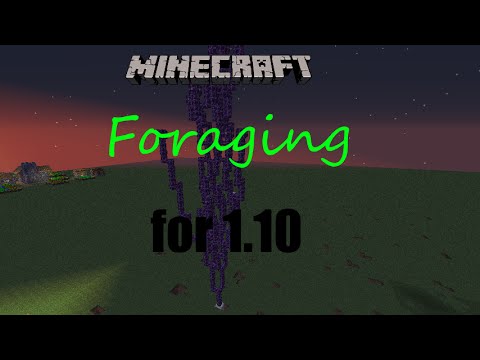 Foraging for 1.10 Minecraft Map