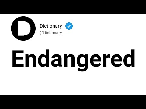 Endangered Meaning In English