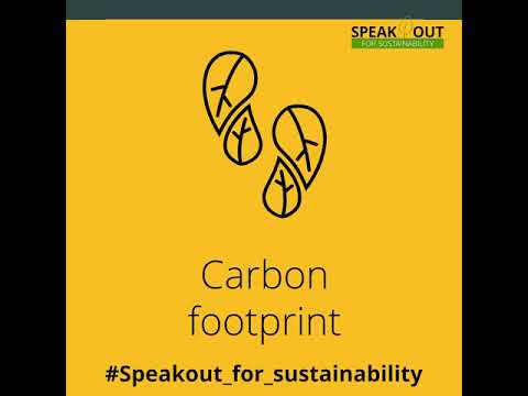 Carbon Footprint: Vocabulary video