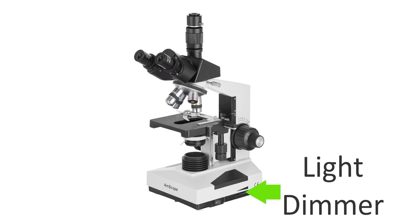 How to Identify Parts on a Compound Microscope