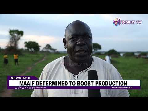 Poverty Eradication Through Cashew Nuts Growing