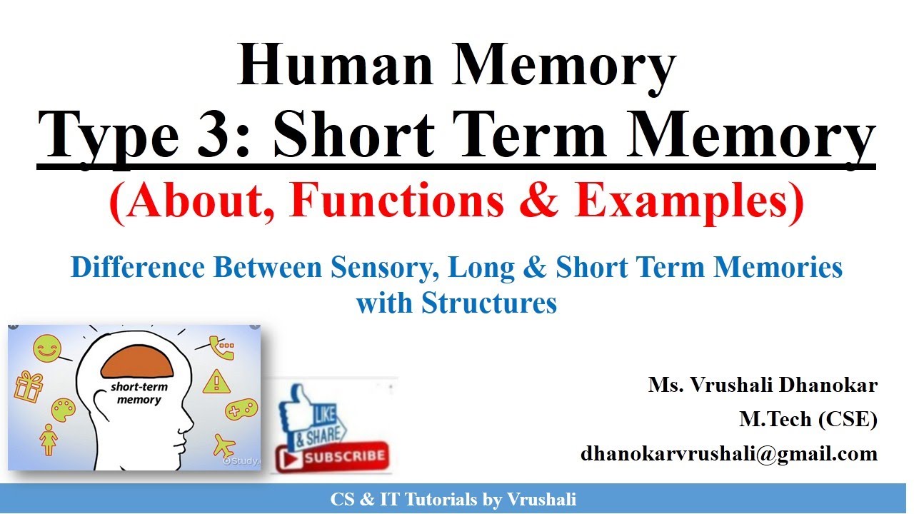 Understanding Short Term Memory: Characteristics, Functions, and ...