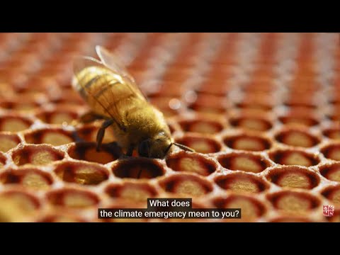 MSc Society, Politics and Climate Change | University of Bristol Postgraduate Degree