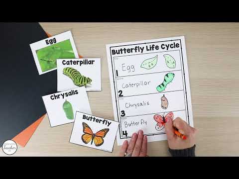 Butterfly Theme Preschool Lesson Plans