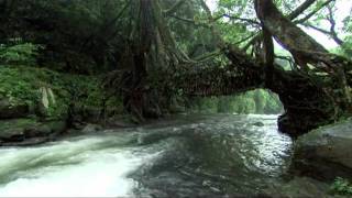 How Earth Made Us - Documentarytube.com