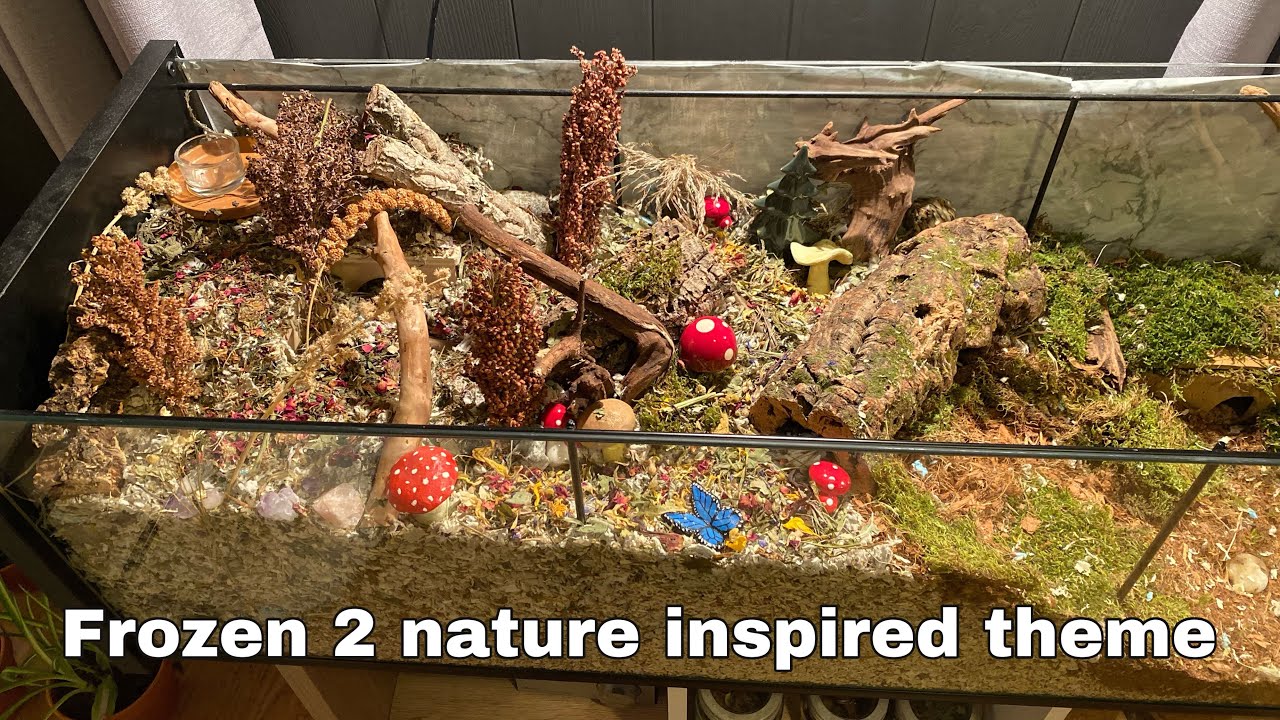 Frozen 2 nature (Norway) inspired hamster cage setup | natural