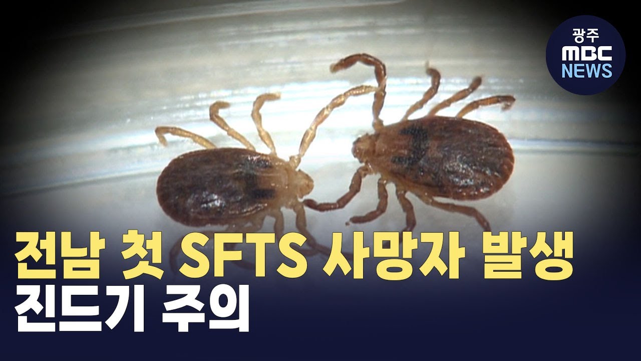 전남 첫 SFTS 사망자 발생..진드기 주의