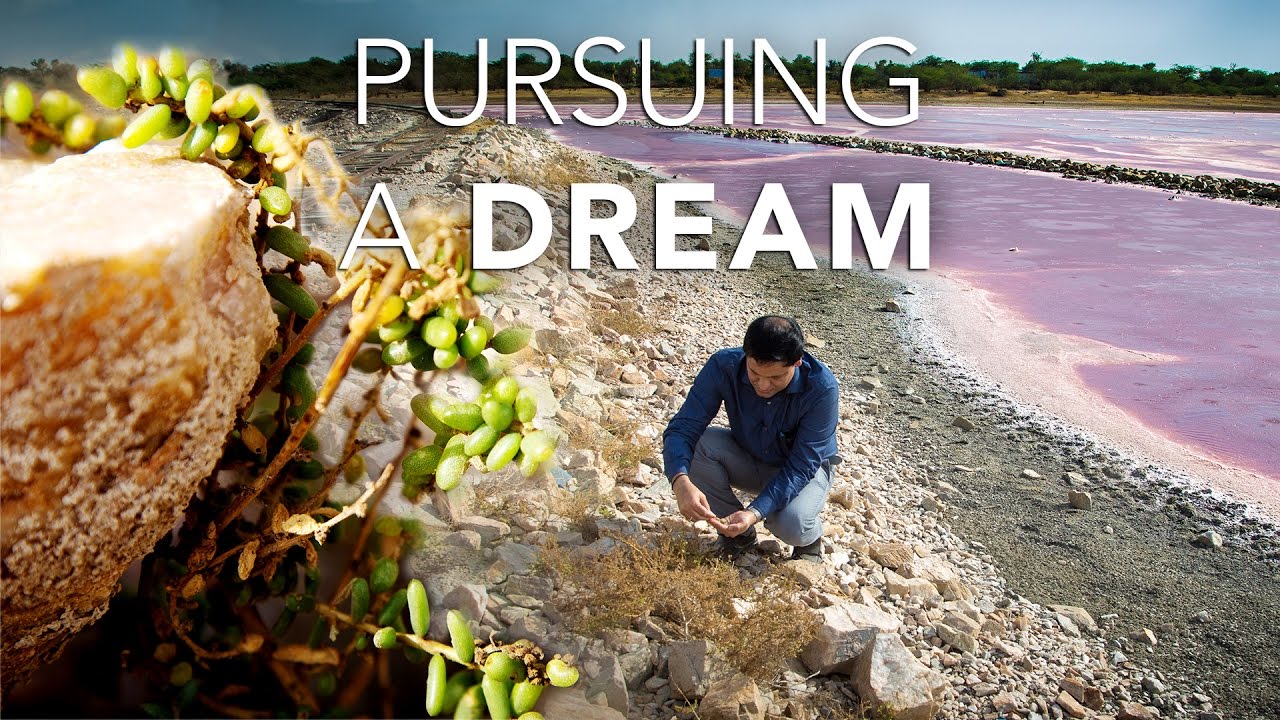Pursuing a Dream: Tackling Climate Change and Soil Salinity