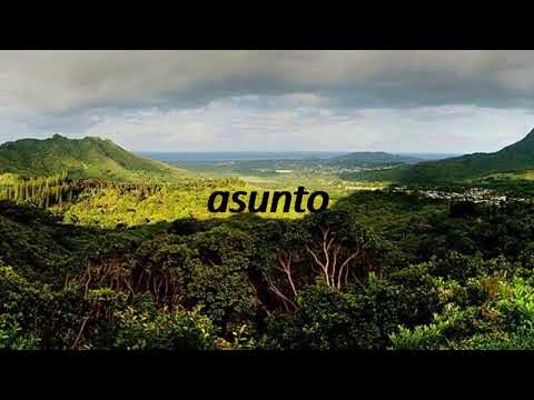 How to say case in Spanish? asunto