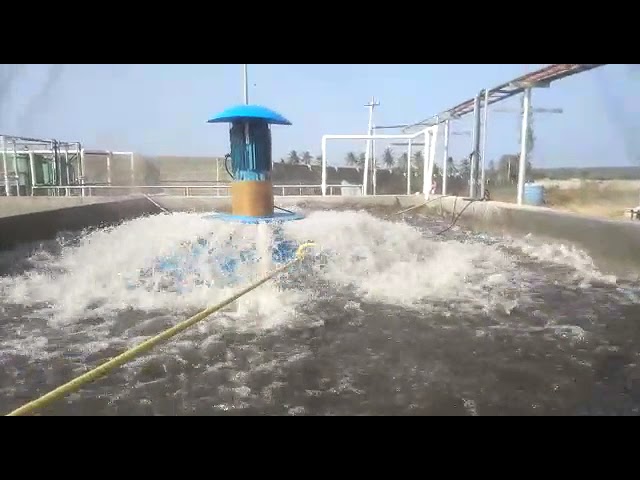 High Speed Floating Surface Aerator - Surface Floating Aerator ...