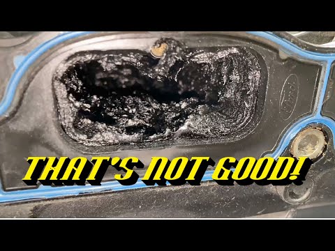 Ford 5.4L 3v Triton Engine Melted the Intake Manifold: Let's Find Out Why!