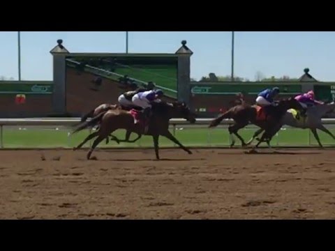 Keeneland Race Track Spring 2016