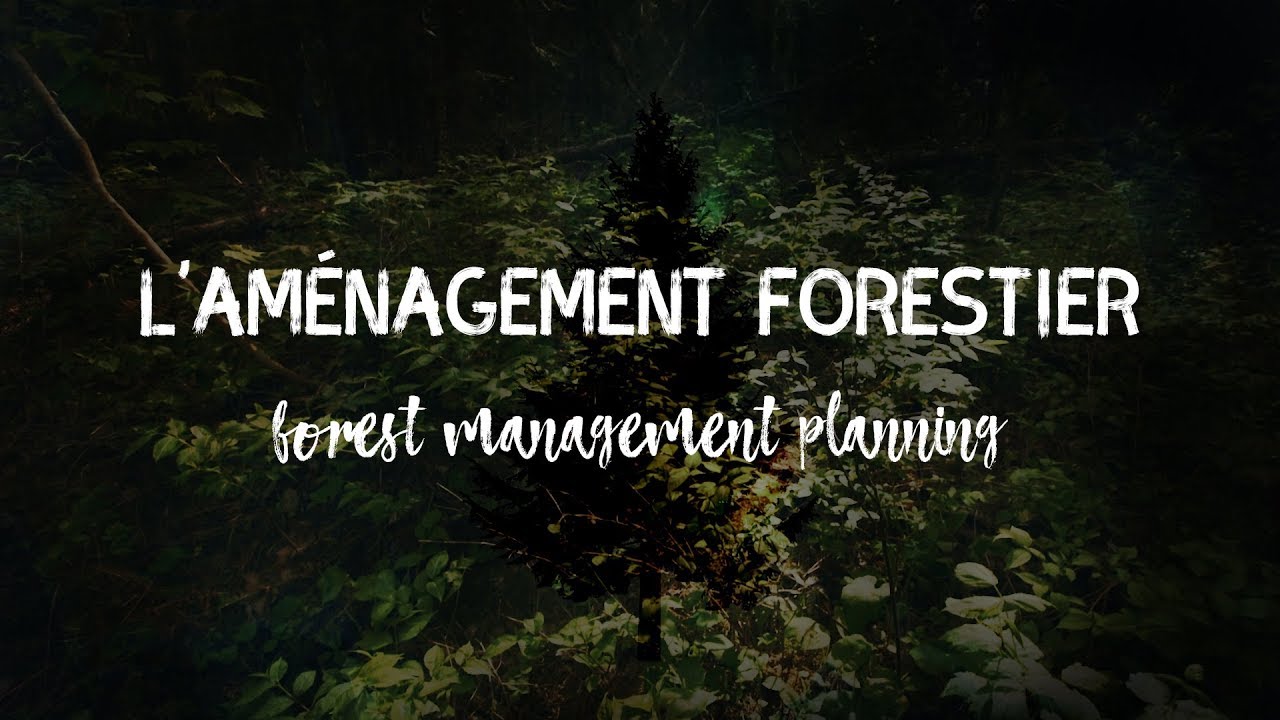 Forest Management Planning (subtitles)