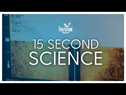 15 Second Science : How does sonar actually work?