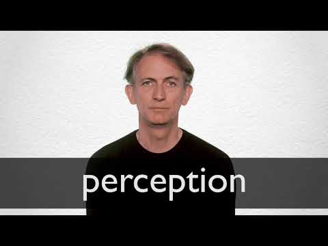 Hindi Translation of “PERCEPTION” | Collins English-Hindi Dictionary