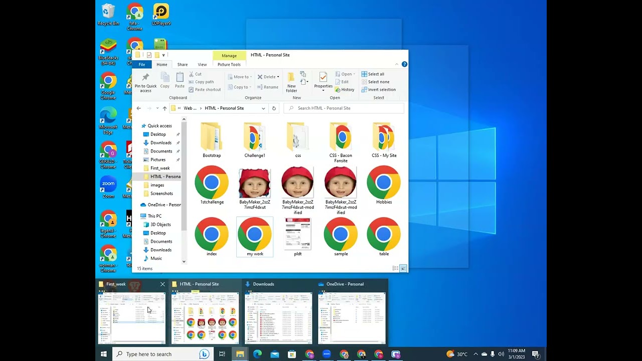 First Webpage Github